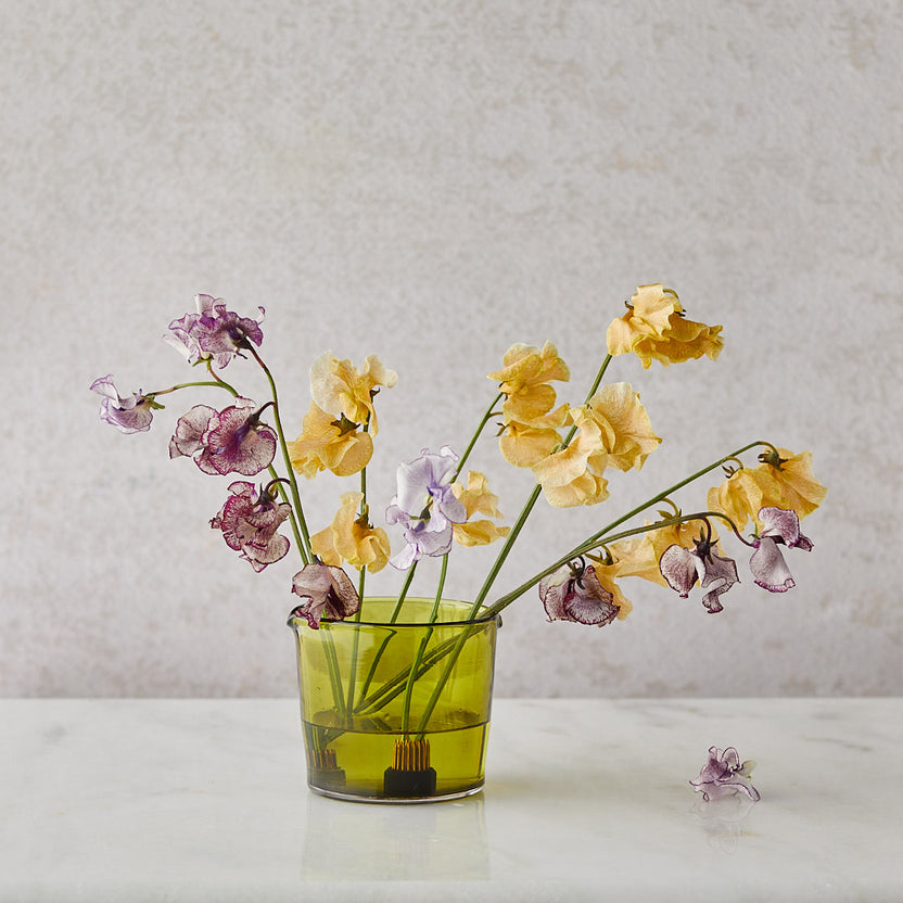 Moss Wine Rinser – Reed Smythe & Company